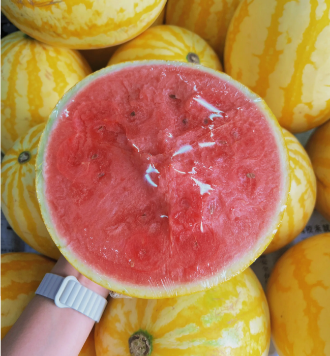 Yellow Skinned Red Flesh Watermelon Seeds – Vipsheep.com